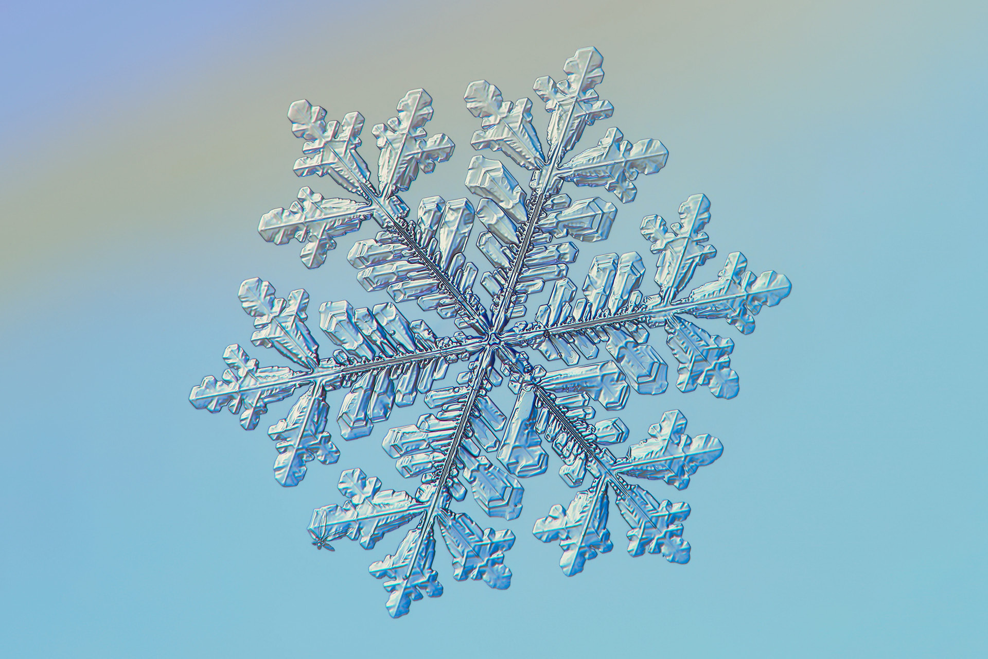 Pool Accessories and Supplies - - Waterloo, Ontario